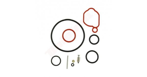 ZESTAW NAPRAWCZY GAZNIKA B&S (590589)